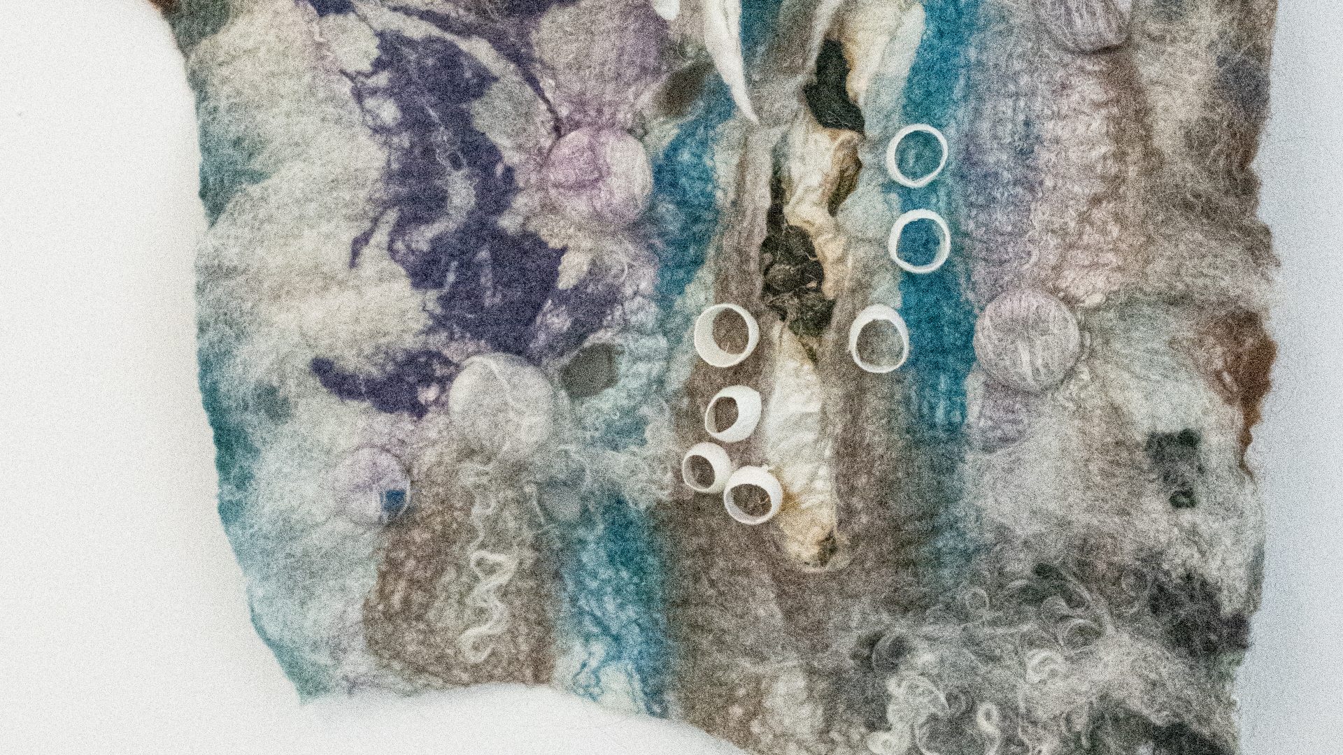 Curled Octopus by Carole Gascoigne – Edinburgh Shoreline